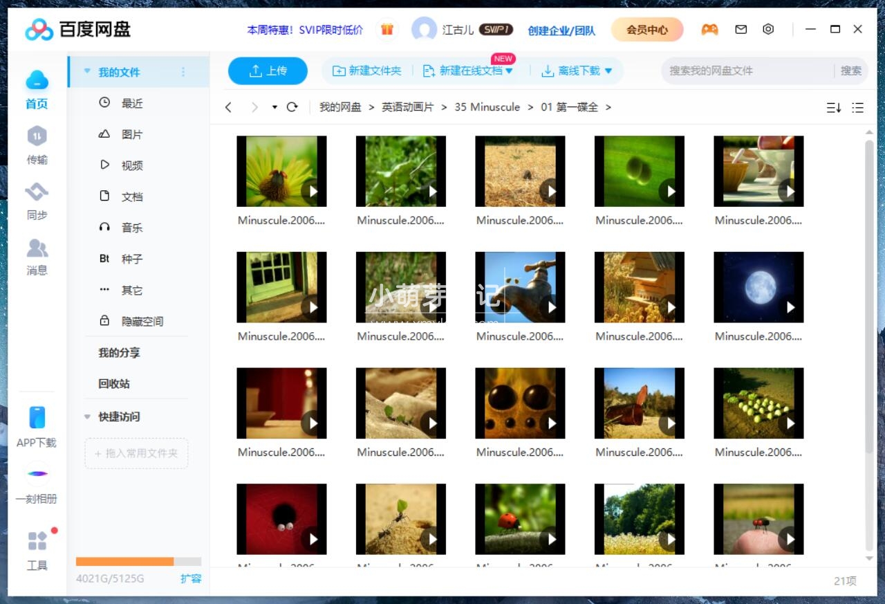 法国纪录片微观小世界动画片《Minuscule昆虫总动员》全四季共86集，百度云网盘下载！ - 小萌芽笔记