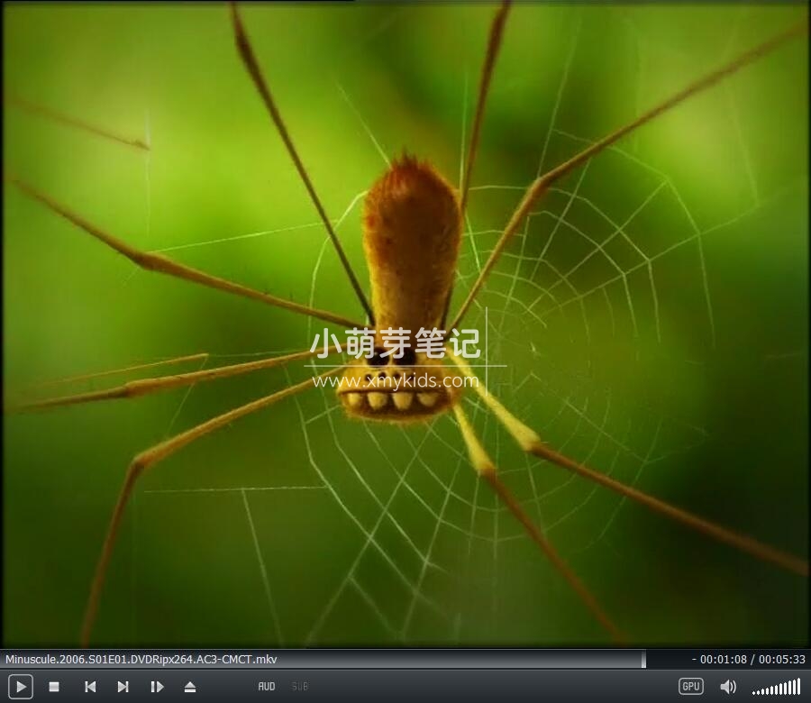 法国纪录片微观小世界动画片《Minuscule昆虫总动员》全四季共86集，百度云网盘下载！ - 小萌芽笔记