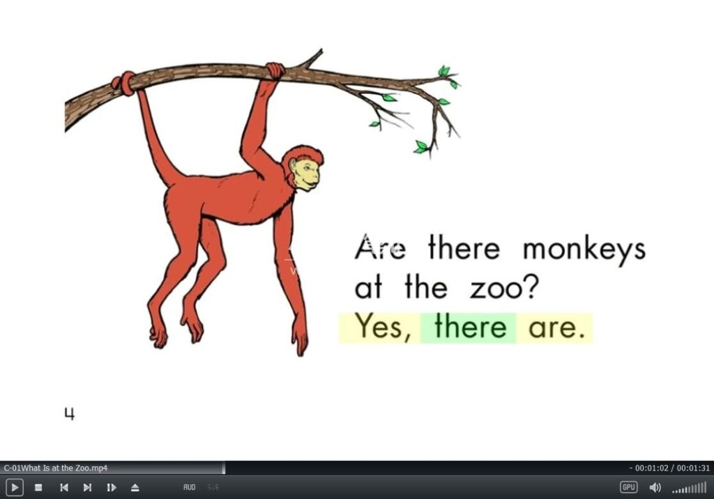 RAZ全套资源119G！美国最经典RAZ分级阅读绘本Reading A-Z包含配套绘本PDF+视频+音频MP3+练习册+高频单词，附Peggy ...