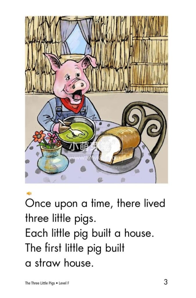 RAZ全套资源119G！美国最经典RAZ分级阅读绘本Reading A-Z包含配套绘本PDF+视频+音频MP3+练习册+高频单词，附Peggy ...