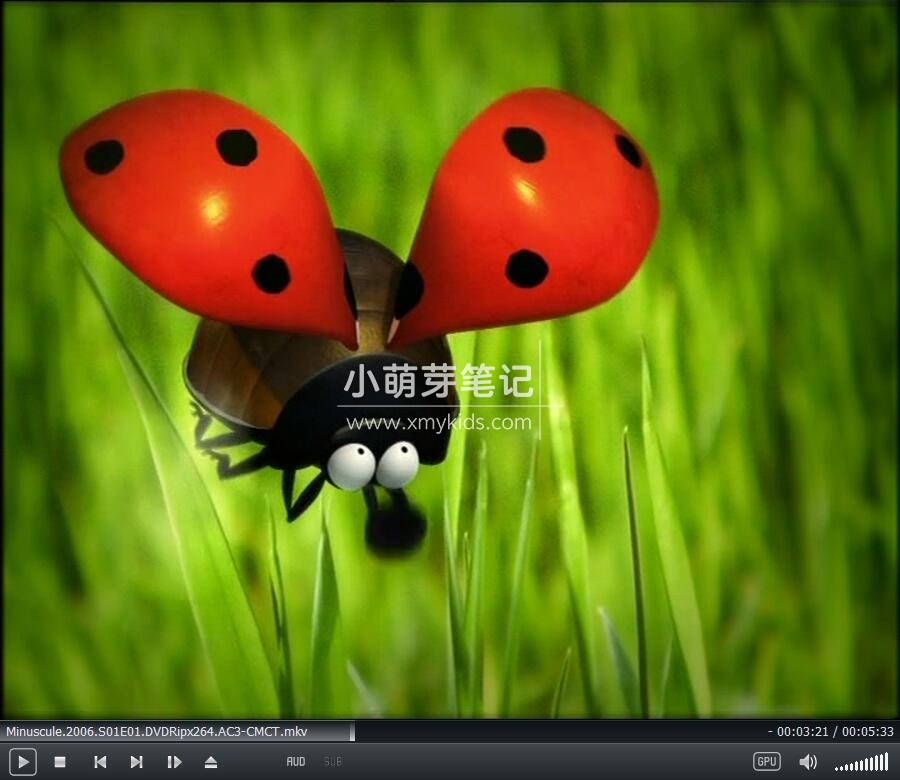 法国纪录片微观小世界动画片《Minuscule昆虫总动员》全四季共86集，百度云网盘下载！ - 小萌芽笔记